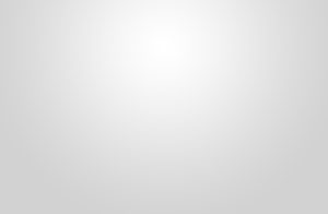 AB Timber – Loads of timber. Any time. Just in time.