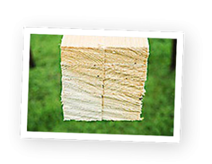 AB Timber – Loads of timber. Any time. Just in time.