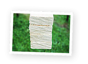 AB Timber – Loads of timber. Any time. Just in time.